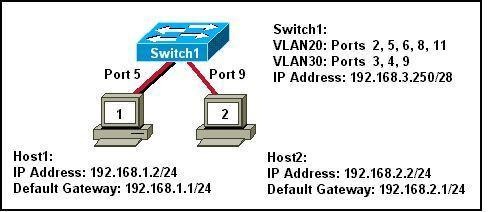 CCNA Discovery 3 Module 3 Exam Answer version 4.0 | Maizarti's Blog
